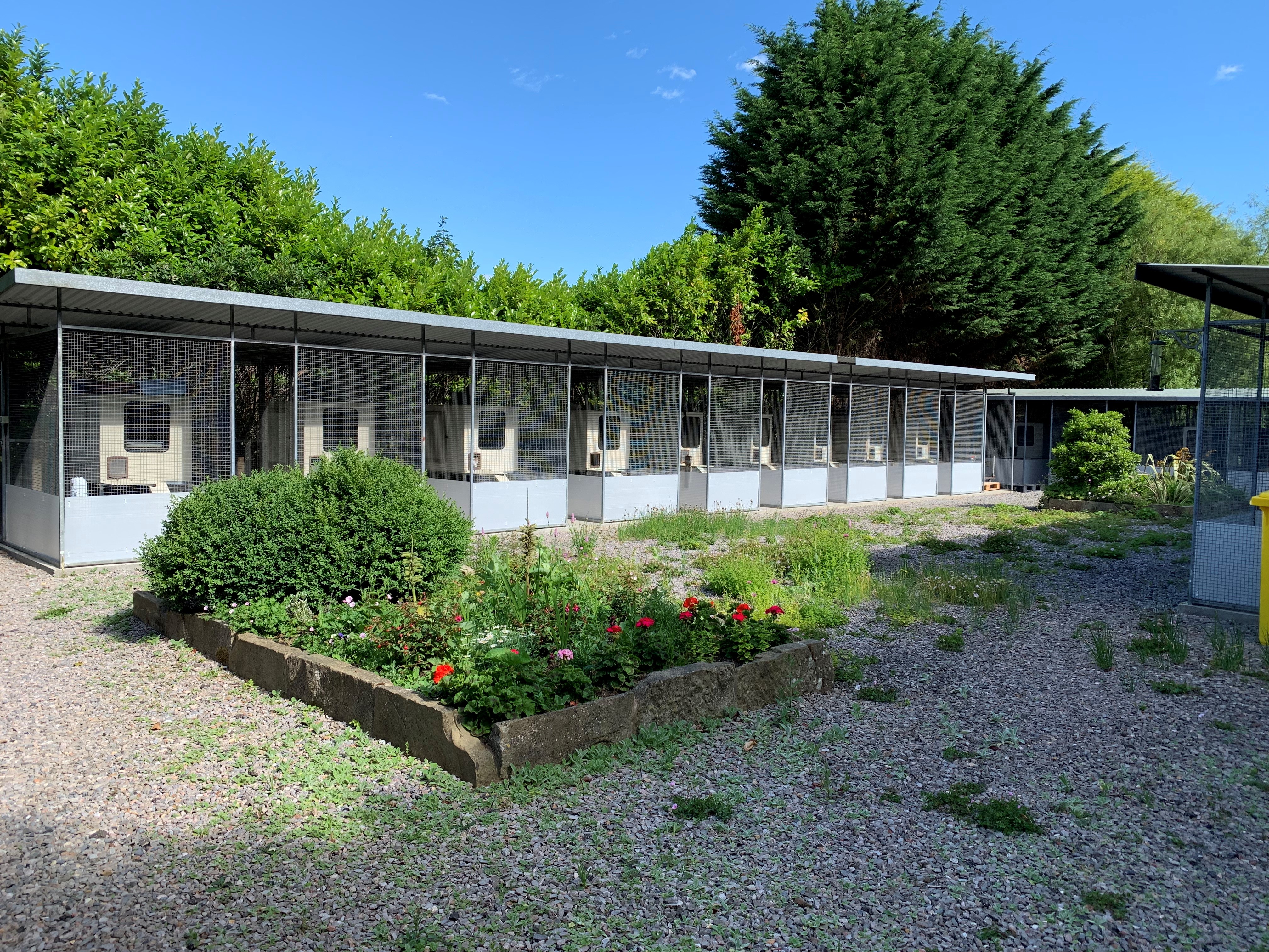 cattery courtyard – Nutley Farm Cattery